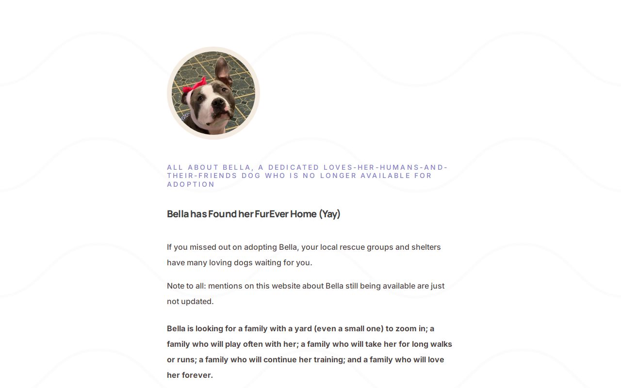 Bella, ready for her furever home